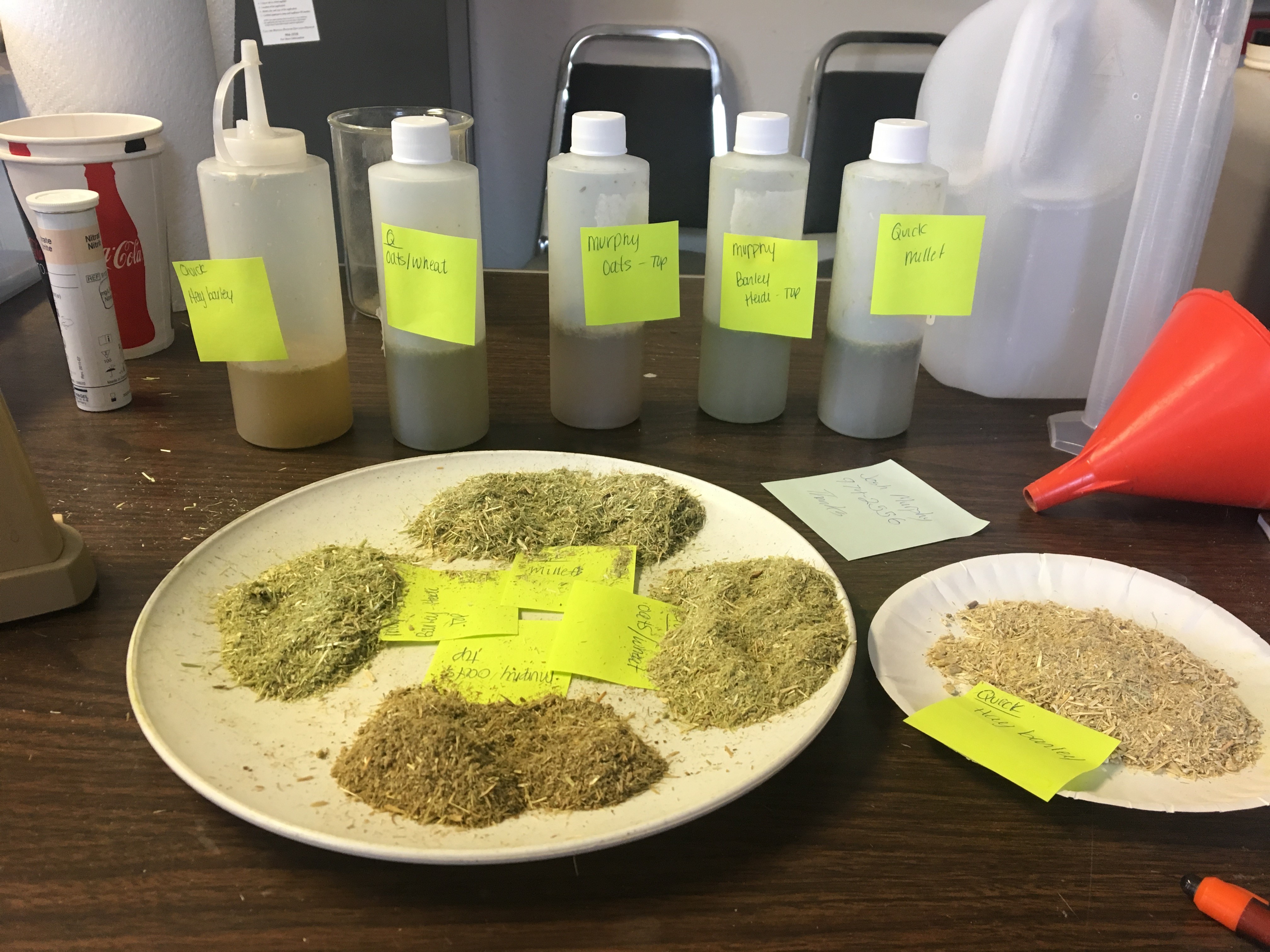 MSU Extension | Montana State University - Lives & Landscapes Magazine