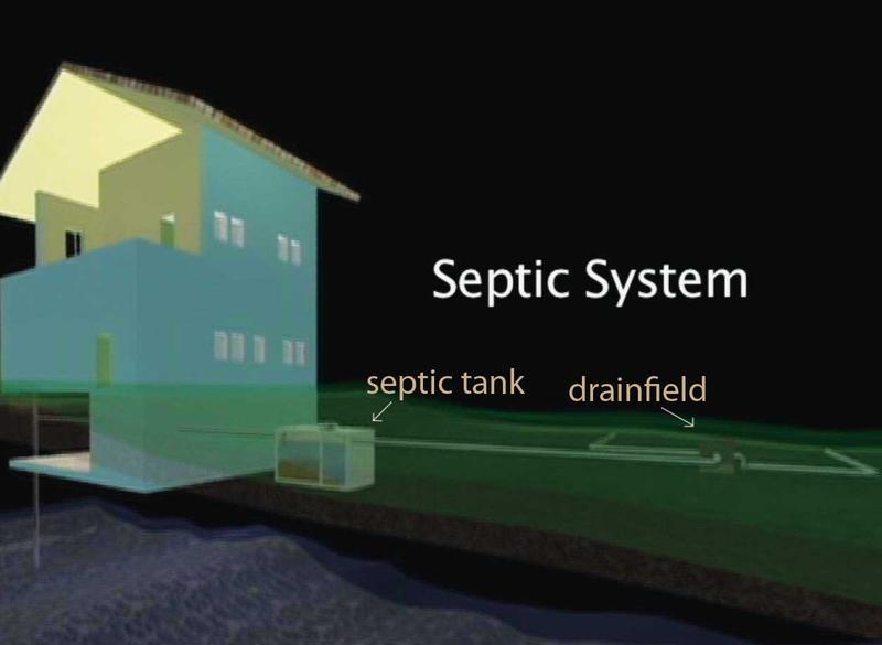 MSU Extension | Montana State University