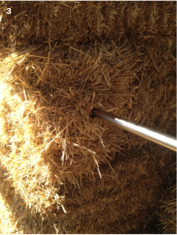 MSU Extension | Montana State University